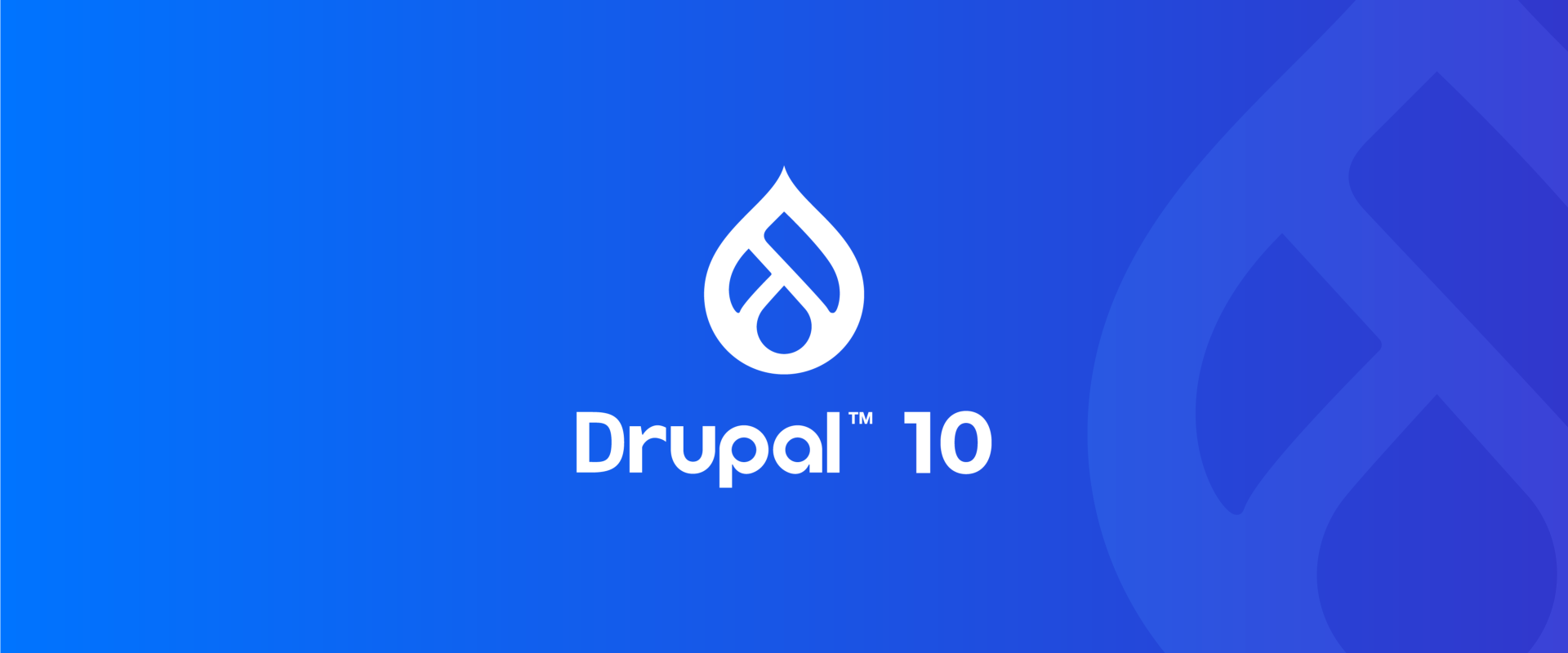 Why it’s crucial to keep your Drupal website up to date | Twel Web Development Company